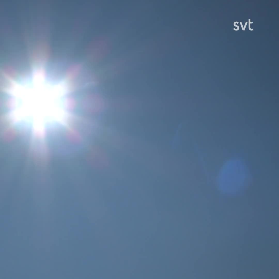 SVT-reportrarna drog från jobbet: ”Det är för varmt” | SVT Nyheter